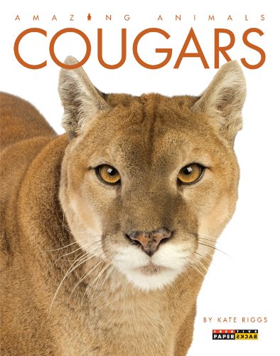 Amazing Animals: Cougars: Riggs, Kate: 9780898129267: Amazon.com: Books