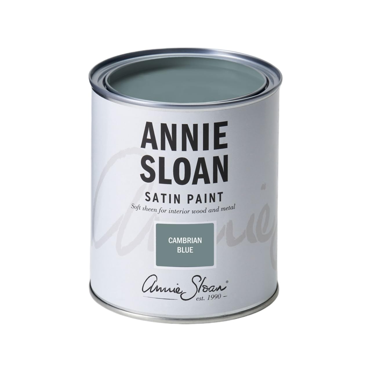 Amazon.com: Annie Sloan Satin Paint. Self-leveling, All-in-one Paint ...