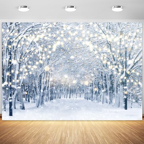 Amazon.com : LIVUCEE 7x5FT Winter Snowy Scene Photography Backdrop ...