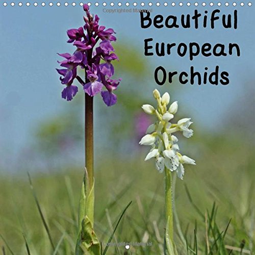 Buy Beautiful European Orchids 2015: 13 different species of European ...