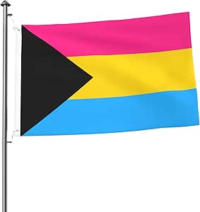 Amazon.com : Demi Pan Flag Pride Pansexual Demiromantic Panromantic ...