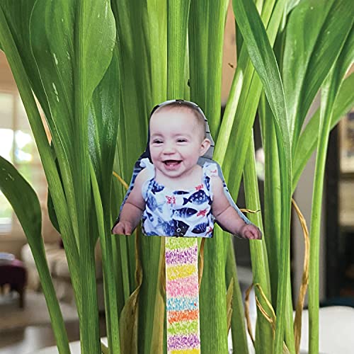 Play Good Friends by Max Yoder on Amazon Music