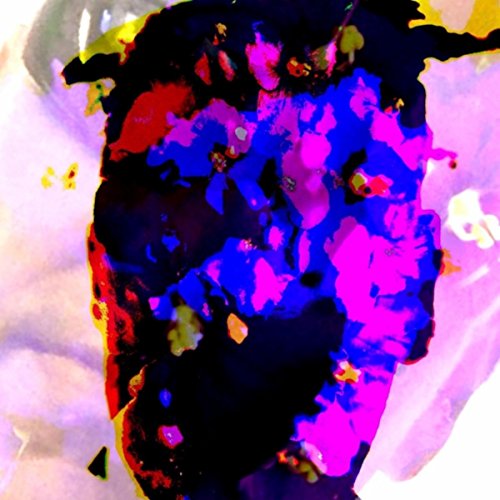 Play Naked Gus by Dan Puskar on Amazon Music