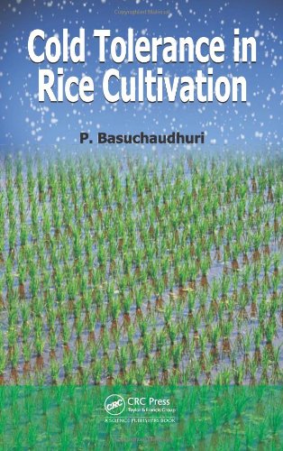 Ebook – Cold Tolerance in Rice Cultivation Edition (PDF Instant ...