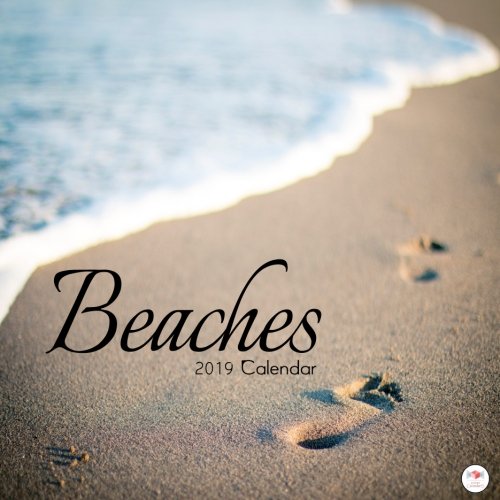 Beaches 2019 Calendar: 2019 Beaches Wall Calendar Mini 8.5 x 8.5 12 ...