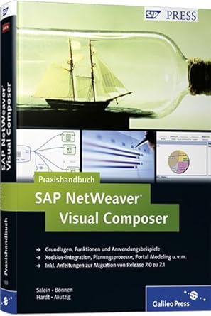Praxishandbuch SAP NetWeaver Visual Composer (SAP PRESS) : Salein ...
