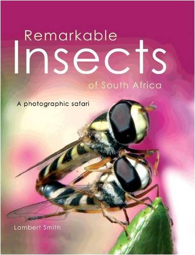 Remarkable insects of South Africa: Smith, Lambert: 9781875093434 ...