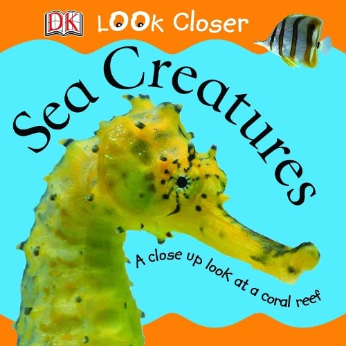 Sea Creatures (Look Closer) : Publishing, DK: Amazon.in: Books