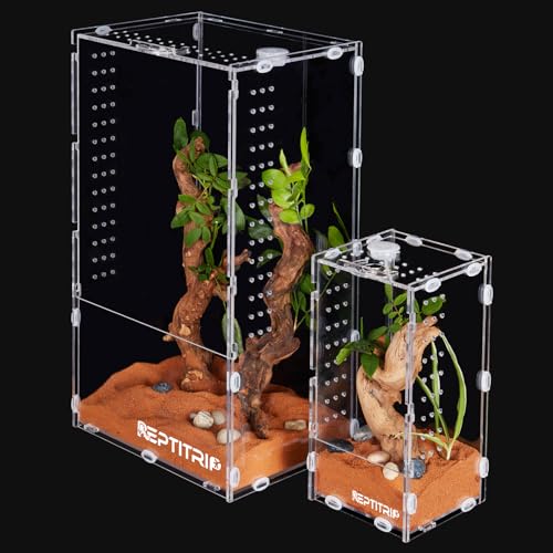 Snapklik.com : Jumping Spider Enclosure, Tarantula Larvae Enclosure ...