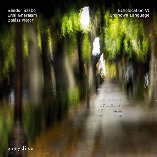Play Echolocation VI: Unknown Language by Sandor Szabo, Emil Gherasim ...