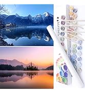 Amazon.com: BAISITE Paint by Numbers Kit for Adults Beginners,16" Wx20 ...