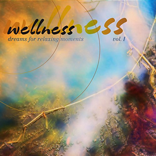 Amazon.com: Wellness, Vol. 1 : Various: Digital Music