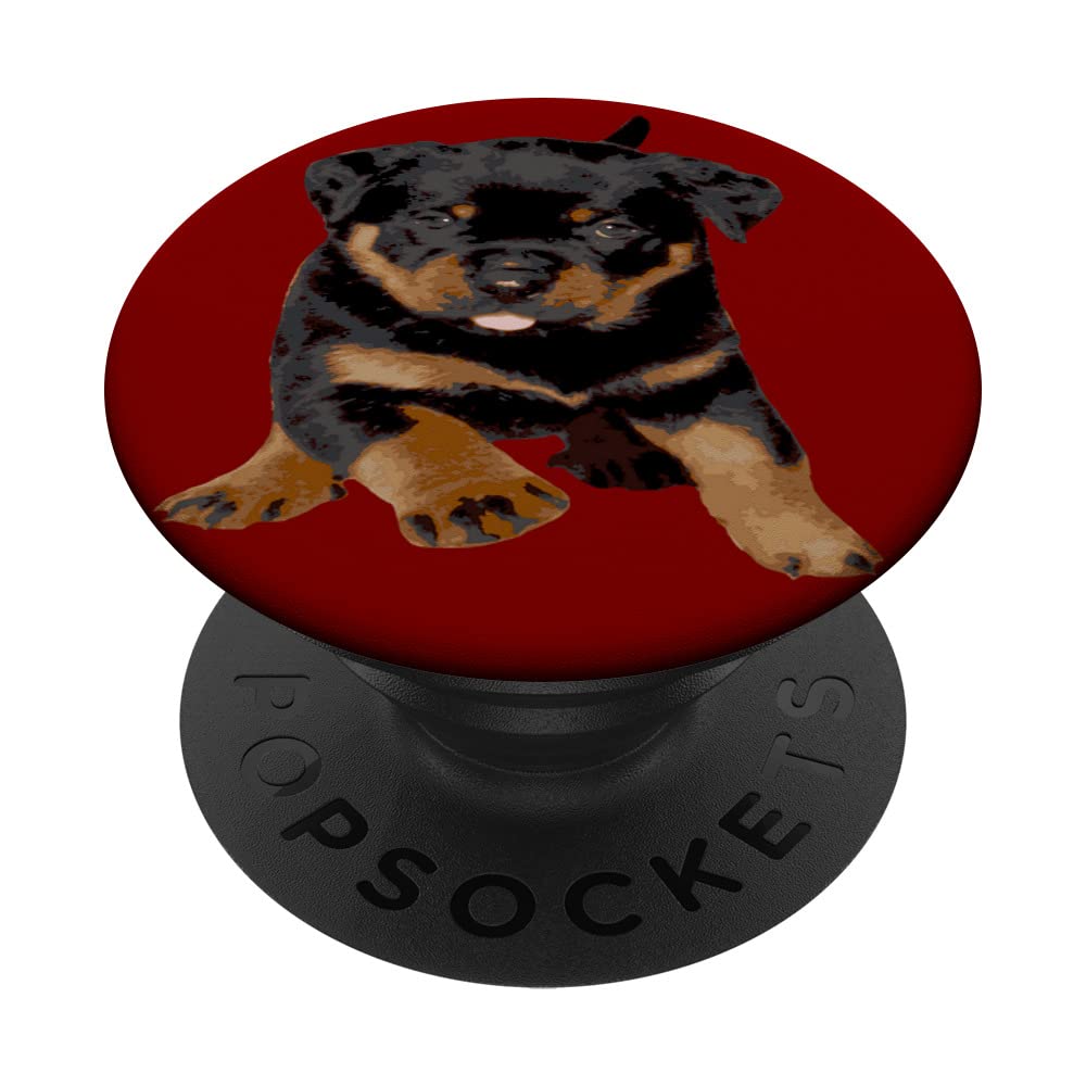 Female Rottweiler Dog