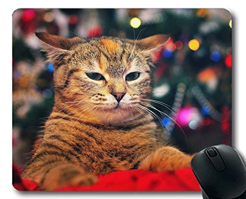 Yanteng Mouse pad,Cat Mouse pad,Mouse mat for Computer cat347 （Multi ...