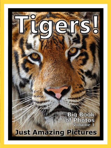 Just Tiger Photos! Big Book of Photographs & Pictures of Tigers, Vol. 1 ...