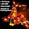 Amazon.com: 30 LED 10ft Maple Leaves Pumpkin String Lights Thanksgiving ...