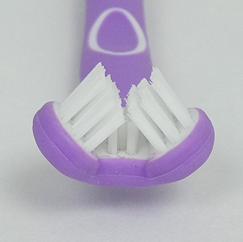 Amazon.com : Surround Toothbrush (Pack of 1) (Purple) : Health & Household