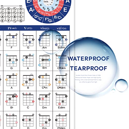 Snapklik.com : Ukulele Chord Poster Chart, Educational Reference Guide ...