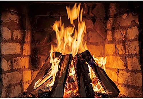 Amazon.com : Renaiss 5x3ft Fireplace Backdrop Blazing Fire Burning ...