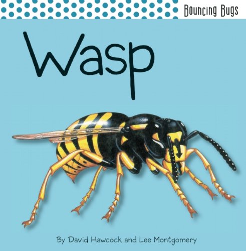 Wasp (Bouncing Bugs): Hawcock, David, Montgomery, Lee: 9781608872152 ...