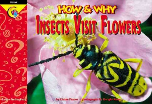 How and Why Insects Visit Flowers (How and Why Series): Pascoe, Elaine ...
