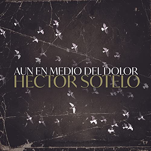 Aun en Medio del Dolor de Hector Sotelo en Amazon Music Unlimited