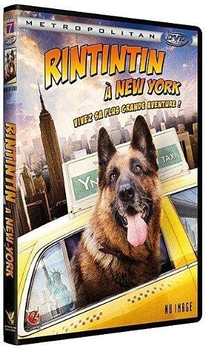 Rintintin à New York [Francia] [DVD]: Amazon.es: Jackson Pace, Cameron ...