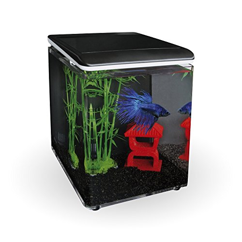 Superfish Aquarium – Die 15 besten Produkte im Vergleich - Aquaristik