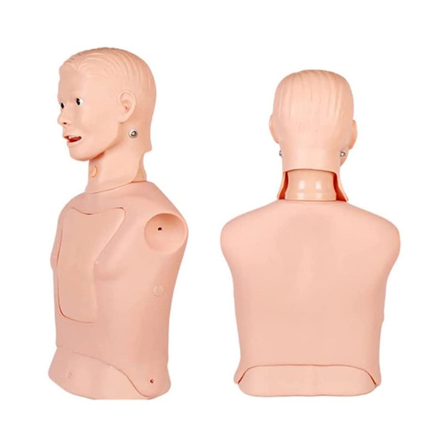 Buy YANDDEA Endotracheal Intubation tric Tube Model Half Body Mannequin ...