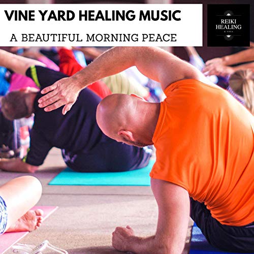 Vine Yard Healing Music - A Beautiful Morning Peace de Serenity Calls ...