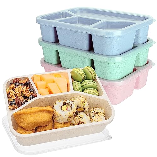 Best Bento Boxes for Healthy and Stylish Meal Prep.