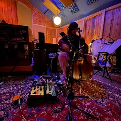 Amazon.com: The Brink : Janel Leppin: Digital Music