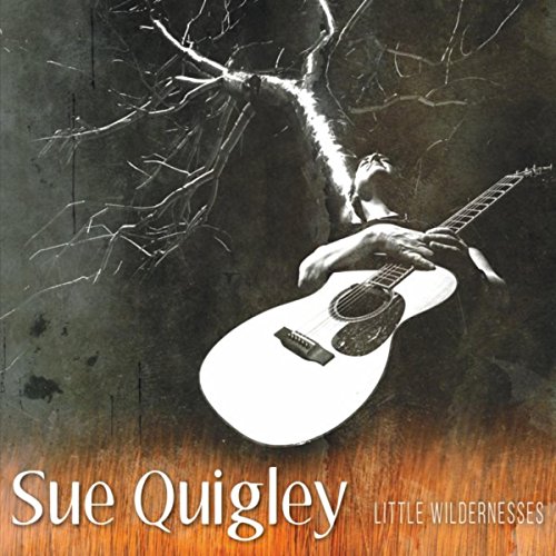 Play Little Wildernesses by Sue Quigley on Amazon Music