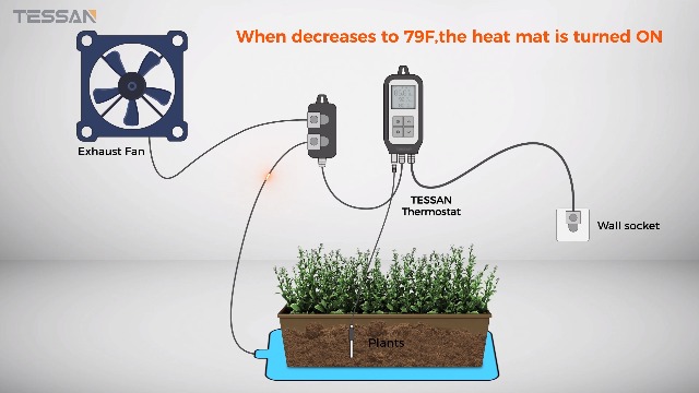 Watch How Does TESSAN Temperature Controller Work on Amazon Live