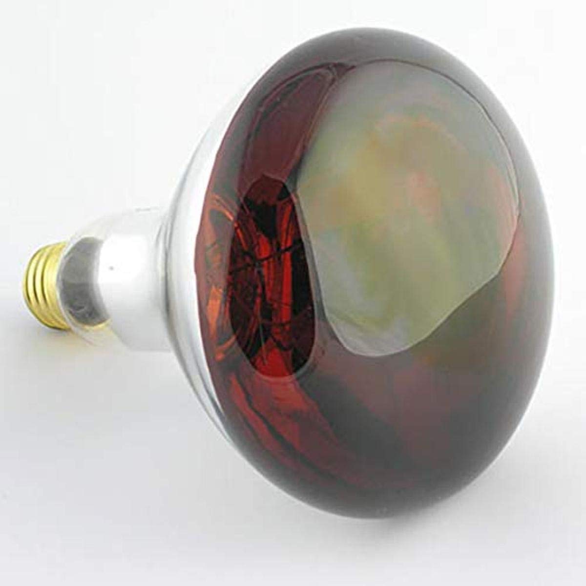 Amazon.com: Stromberg's Red Heat Lamp Bulb : Pet Supplies