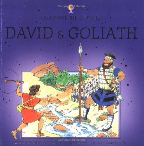 David and Goliath: TYLER, JENNY: 9780746054307: Amazon.com: Books