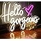 Amazon.com: Hello Gorgeous Neon Signs White LED Light Hello Beautiful ...