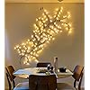 Amazon.com : Lighted Willow Vine, 8 Flash Model Twinkling Tree Wall ...