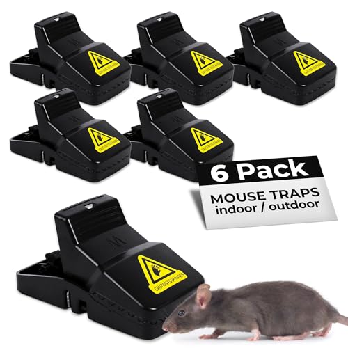 Find The Best Mice Traps To Use Reviews & Comparison - Katynel