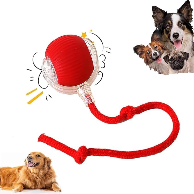 Buy Interactive 360° Smart Pet Toy for Dogs & Cats – Automatic Rolling ...