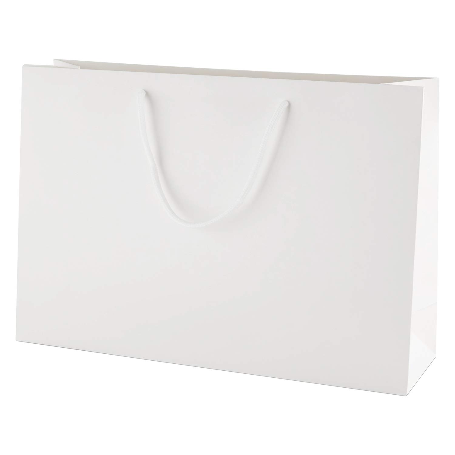 Thepaperbagstore 10 White Luxury Matt Laminated Paper Bags with Rope ...
