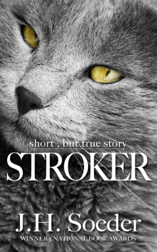 Stroker - Kindle edition by Soeder, Jon. Crafts, Hobbies & Home Kindle ...