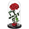 Amazon.com: Wonder Collection Forever Preserved Rose - Eternal Infinity ...