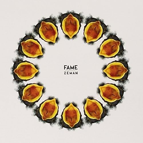 Amazon.com: Fame: CDs & Vinyl