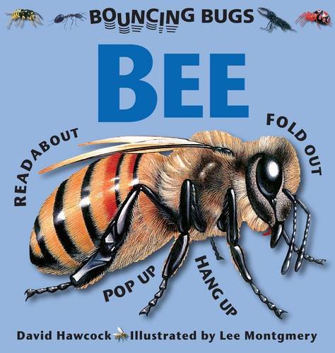 Bouncing Bugs - Bee: Hawcock, David: 9781857078725: Amazon.com: Books