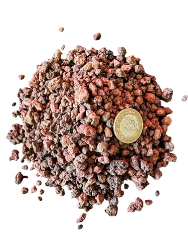 Piedra Volcánica Roja: Decoración Natural para Tu Jardín - El Multimetro