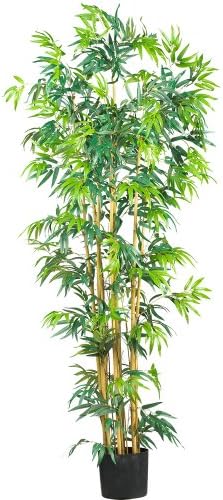 Nearly Natural 5294 Bamboo Silk Tree, 6-Feet, Green : Amazon.ca: Home