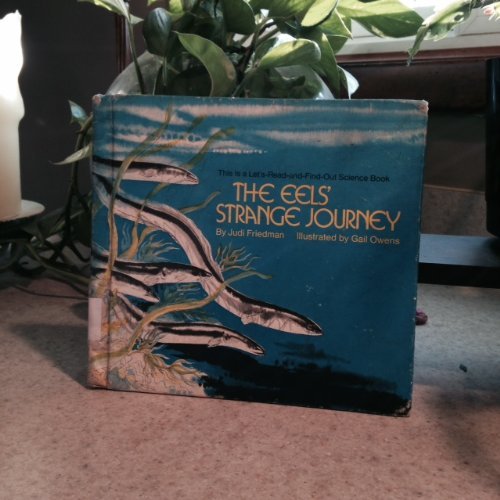 The Eel's Strange Journey (A Let's -Read-&-Find Out Science Book ...