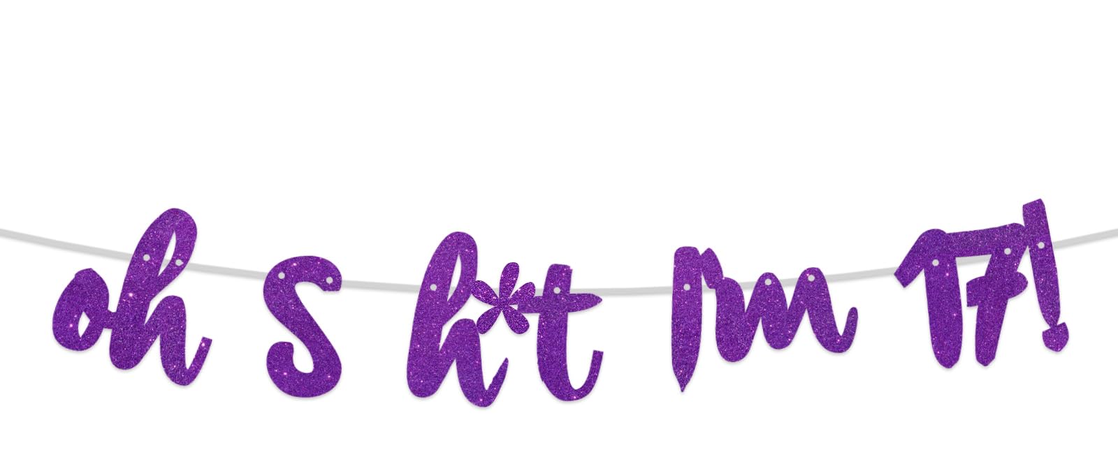 Amazon.com: Oh S*it I’m 17! Banner Backdrop Glitter Purple Hello 17 ...