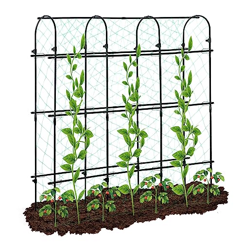 Best Garden Trellises Top Picks For Sprucing Up Your Plants